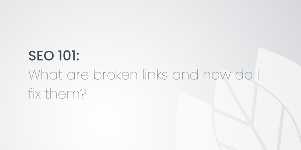 SEO 101: What are broken links and how do I fix them? | Venntov
