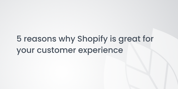 5 reasons why Shopify is great for your customer experience | Venntov
